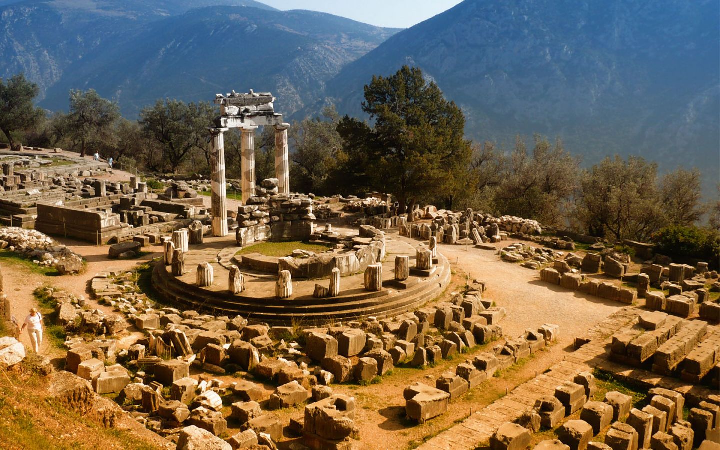 Curso De Delphi Total Curso Online De Delphi Total Com Certificado