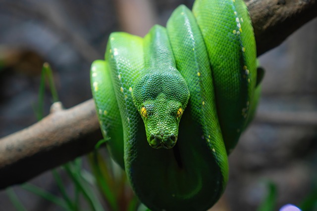 Curso gratuito Introducción a la Programación en Python gratis - Curso ...