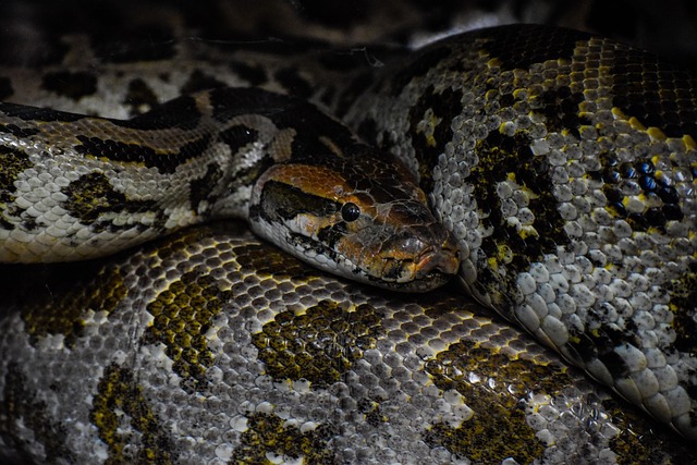 Free Course of Exploratory Data Analysis (EDA) in Python free - Online course about Exploratory ...